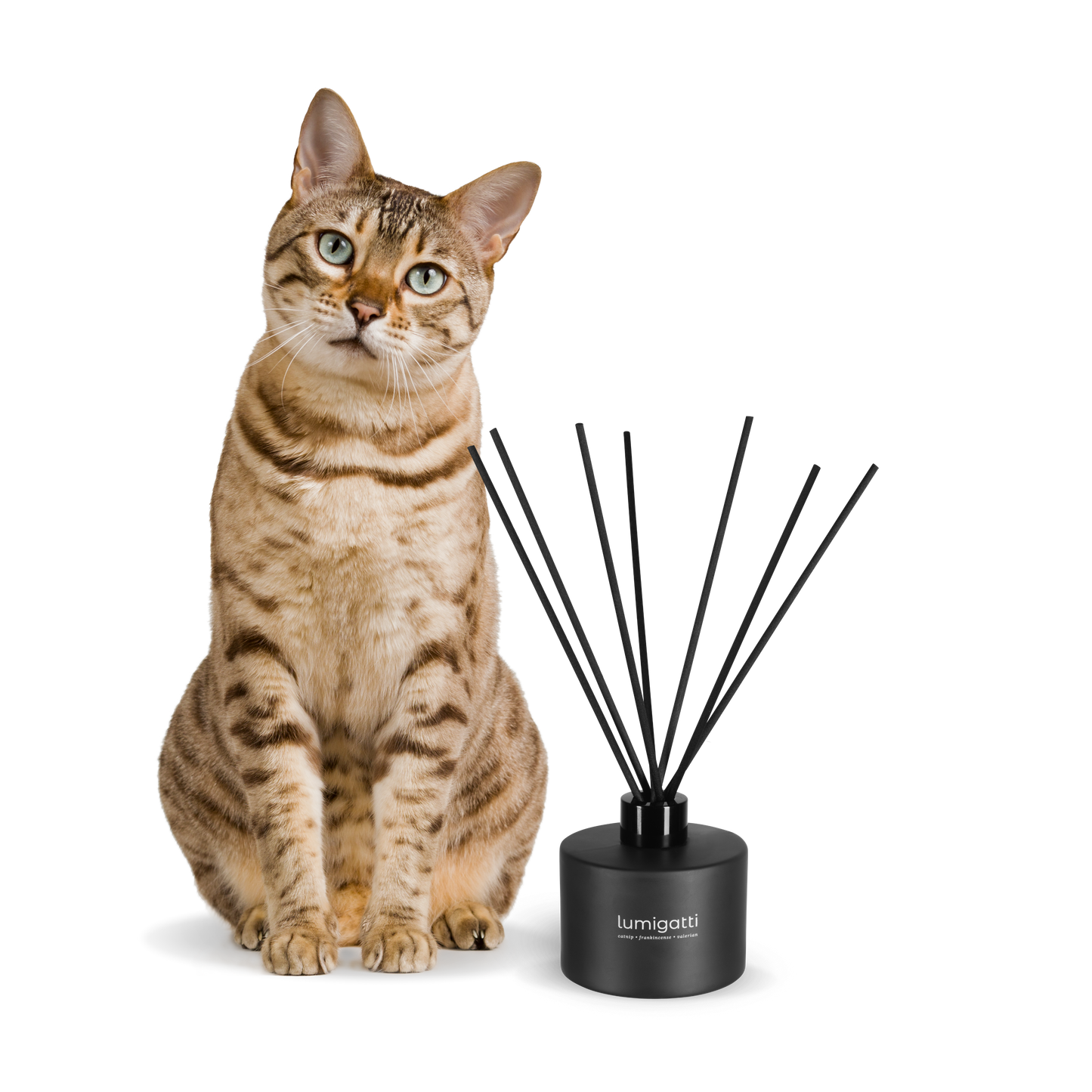 CATNIP FRAGRANCE STICKS – lumigatti